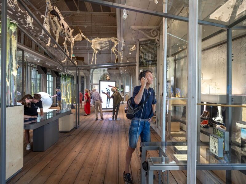 Amsterdam: ARTIS-Groote Museum Entry Ticket - Key Points