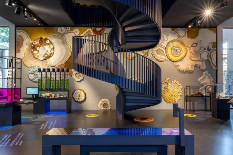Amsterdam: ARTIS-Micropia Microbe Museum Entry Ticket - A Closer Look at the Itinerary