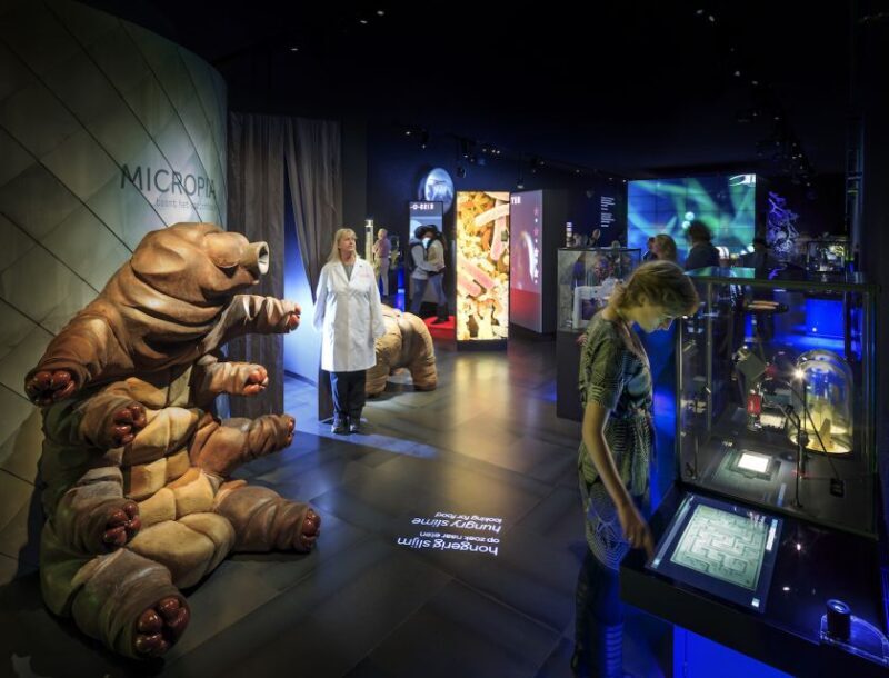 Amsterdam: ARTIS-Micropia Microbe Museum Entry Ticket - Authentic Perspectives from Visitors