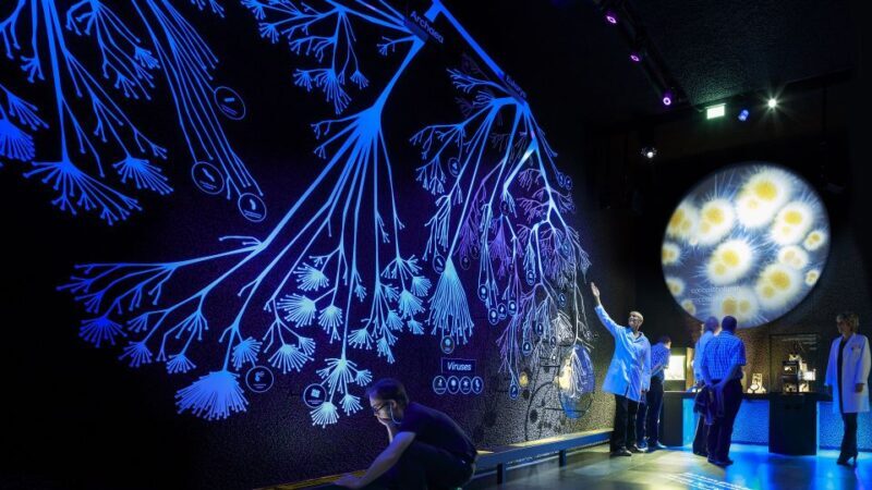 Amsterdam: ARTIS-Micropia Microbe Museum Entry Ticket - Frequently Asked Questions (FAQs)
