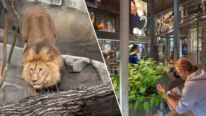 Amsterdam: ARTIS Royal Zoo and ARTIS Groote Museum Ticket - Discovering the ARTIS Royal Zoo
