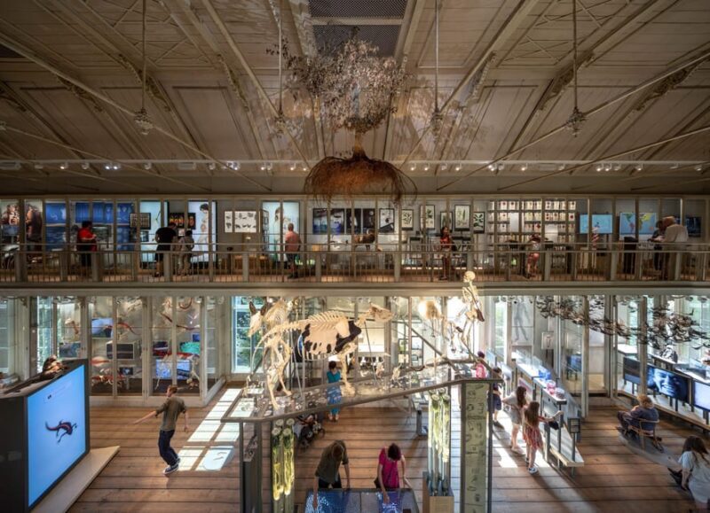 Amsterdam: ARTIS Royal Zoo and ARTIS Groote Museum Ticket - FAQ