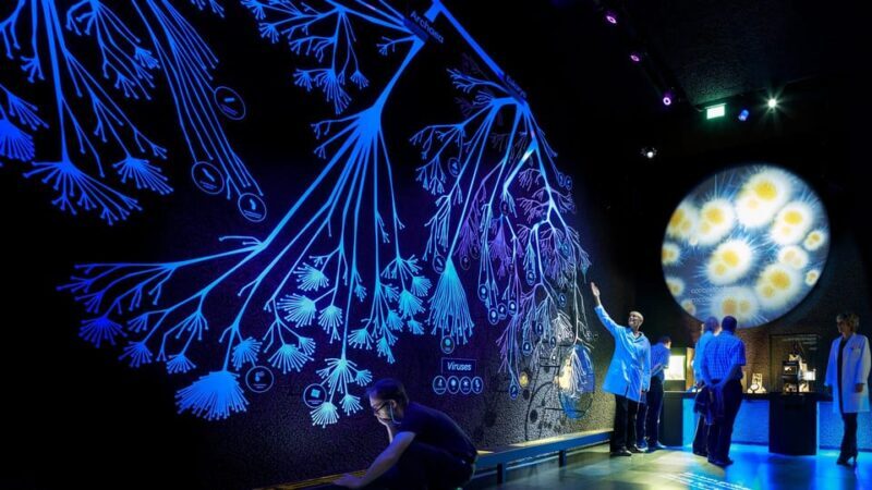 Amsterdam: Artis Royal Zoo & ARTIS-Micropia Combo Ticket - Who Should Consider This Tour?