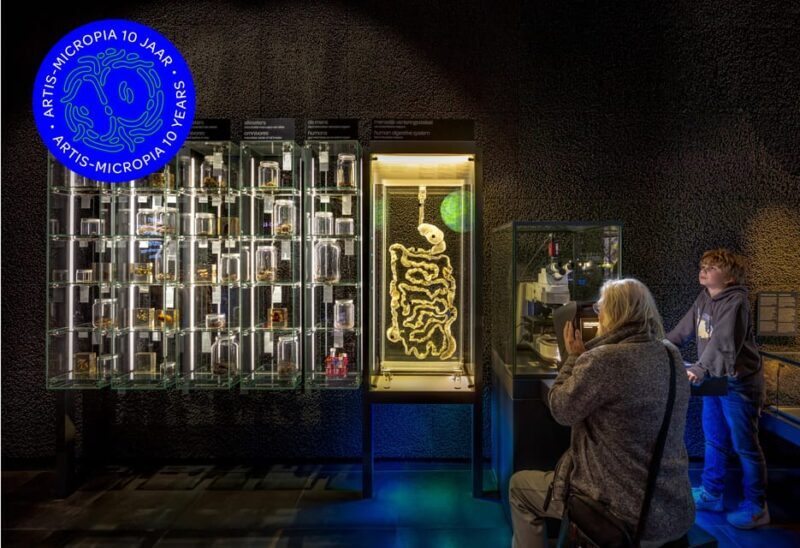 Amsterdam: Artis Royal Zoo & ARTIS-Micropia Combo Ticket - Final Thoughts