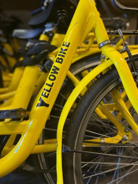 Amsterdam: Bike Rental - Who is This Experience Best For?
