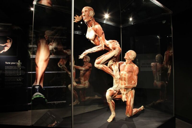 Amsterdam: Body Worlds Exhibition and Canal Cruise - Logistics and Practical Tips