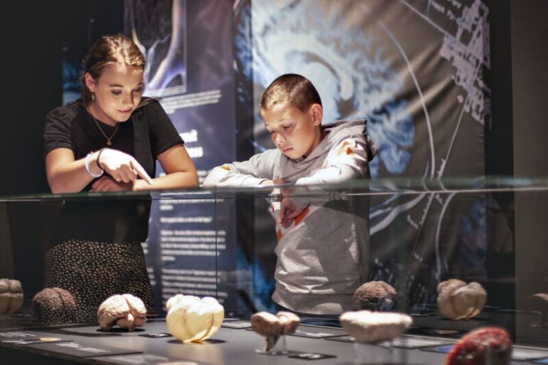 Amsterdam: Body Worlds Exhibition and Canal Cruise - FAQ: Practical Questions