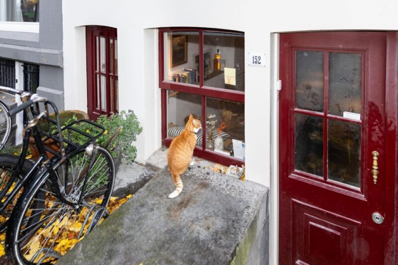 Amsterdam Central Walking Tour - What Travelers Are Saying