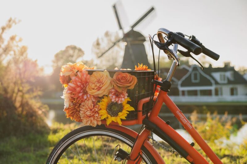 Amsterdam: Cheese, Windmill & Countryside Bike Tour - Who Would Love This Tour?
