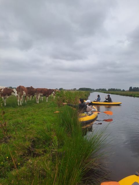Amsterdam: Countryside Bike and Kayak Guided Tour - An In-Depth Look at the Tour Experience