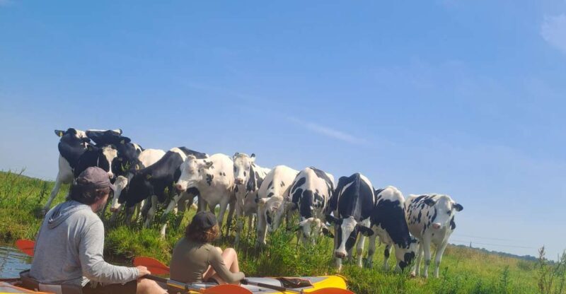 Amsterdam: Countryside Bike and Kayak Guided Tour - Authentic Experiences & Traveler Reviews