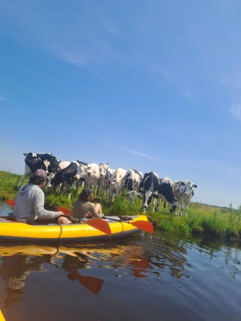 Amsterdam: Countryside Bike and Kayak Guided Tour - Who Will Love This Tour?
