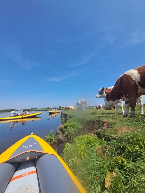 Amsterdam: Countryside Bike and Kayak Guided Tour - FAQ