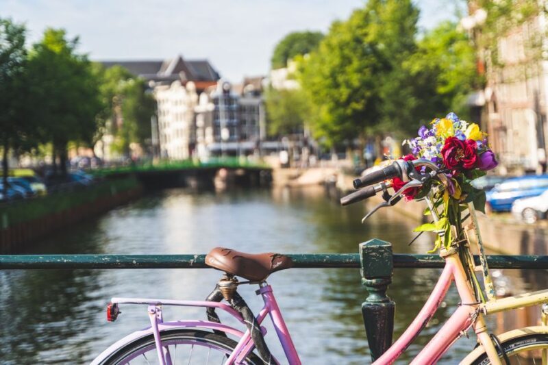 Amsterdam: Countryside Bike Tour - Authentic Experiences and Reviewer Insights