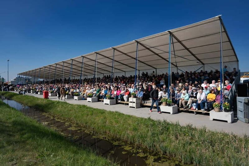 Amsterdam: Day Trip to Flower Parade & Keukenhof on April 18 - The Flower Parade: A Dutch Icon