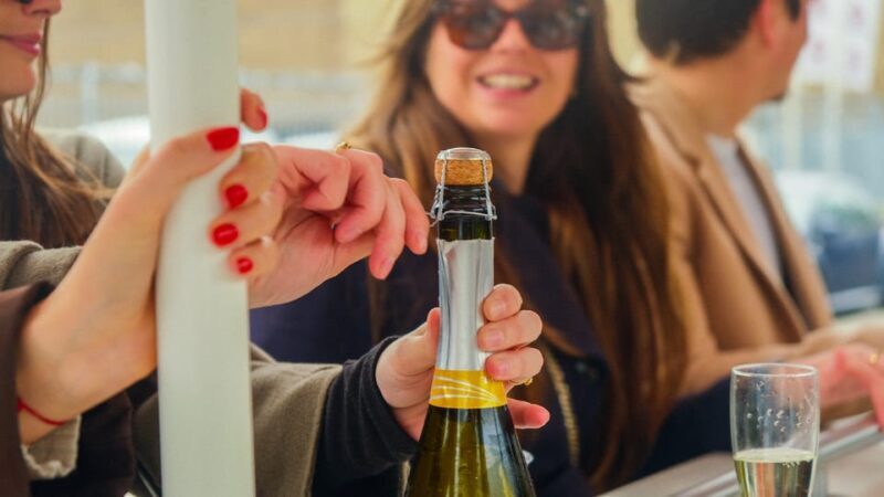 Amsterdam: Dutch Prosecco Party Bike - Key Points