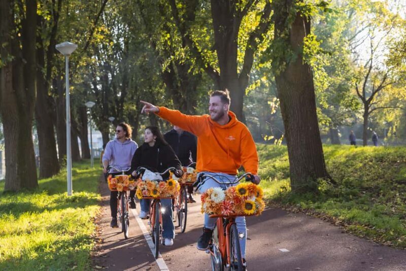 Amsterdam: E-Bike, Cheese, Windmill & Countryside Tour - The Sum Up