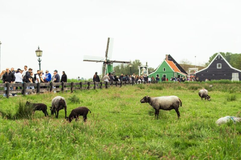 Amsterdam: Explore Zaanse Schans: Half-Day Luxury Coach Trip - Key Points