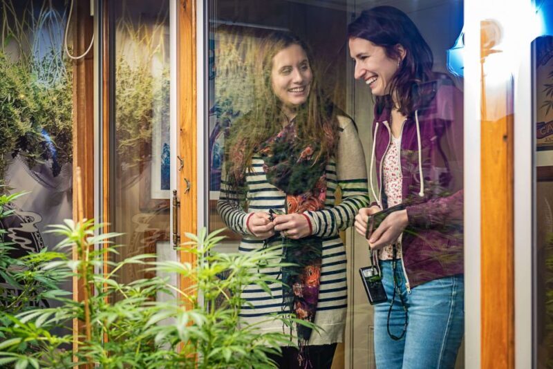 Amsterdam: Hash, Marihuana, and Hemp Museum Entry Ticket - Practical Details and Tips