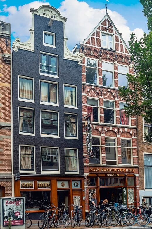 Amsterdam: Hash, Marihuana, and Hemp Museum Entry Ticket - Some Caveats from Recent Reviews