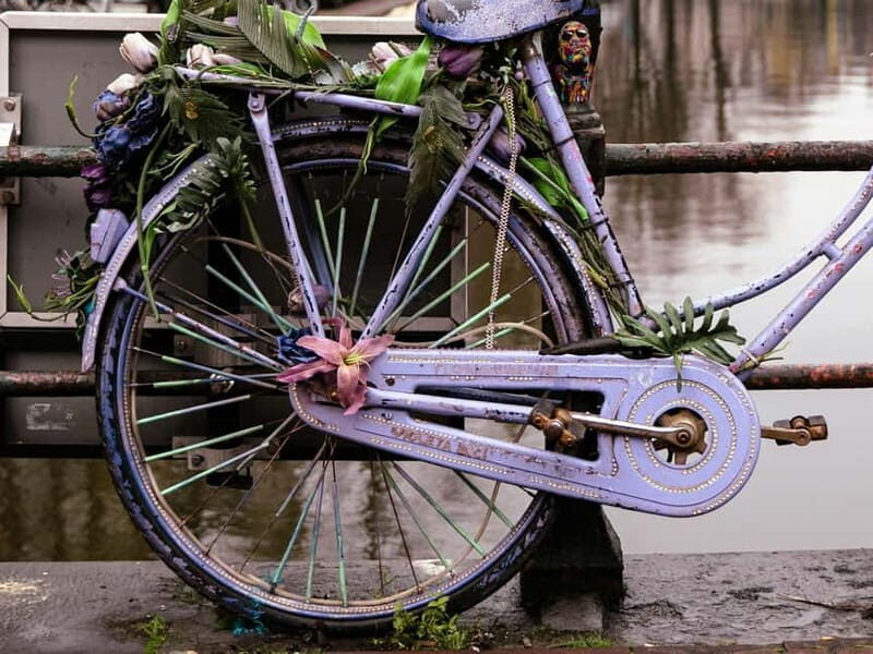 Amsterdam: Iconic Canals & Historic Sights Walking Tour - A Deep Dive Into the Tour Experience