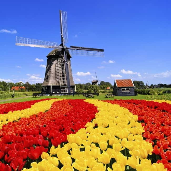 Amsterdam: Keukenhof and Tulip Fields Private Day Trip - Why This Tour Stands Out