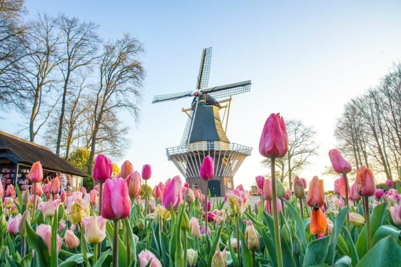 Amsterdam: Keukenhof and Zaanse Schans Live Guided Day Tour - A Day Filled with Dutch Colors and Crafts