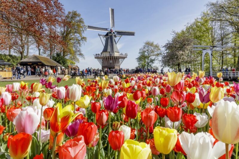 Amsterdam: Keukenhof and Zaanse Schans Live Guided Day Tour - Who is This Tour Best For?
