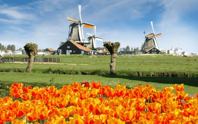 Amsterdam: Keukenhof and Zaanse Schans Windmills Day Trip - Exploring the Best of Dutch Countryside: Keukenhof and Zaanse Schans Windmills Day Trip