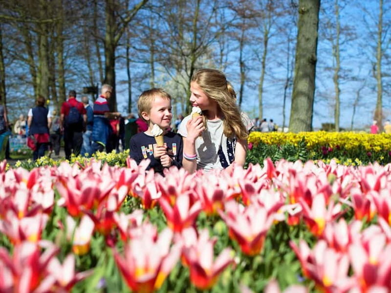 Amsterdam: Keukenhof Entry & Shuttlebus with Flexible Return - Authentic Reviews and Real Experiences