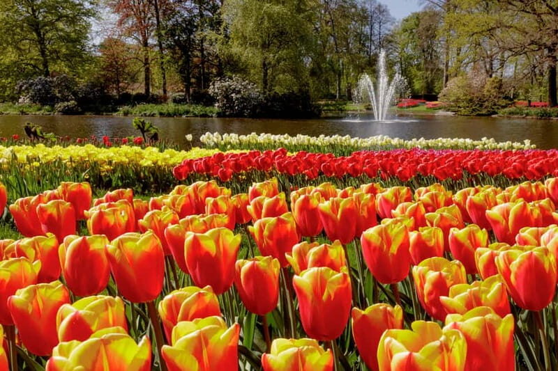 Amsterdam: Keukenhof Entry & Shuttlebus with Flexible Return - The Value Proposition