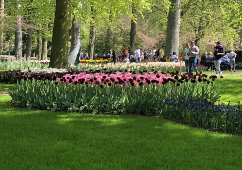 Amsterdam: Keukenhof Tulip Garden and Giethoorn Experience - Final Thoughts: Is It Worth It?