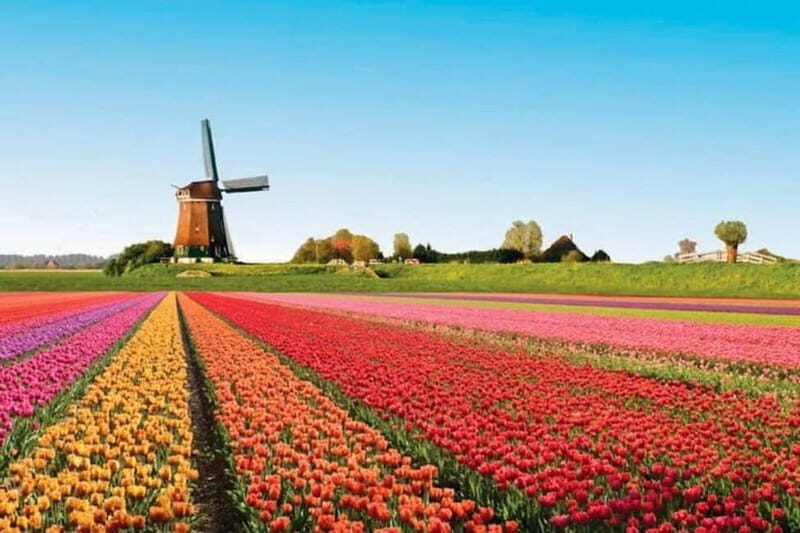 Amsterdam: Keukenhof Tulip Gardens Private Tour - Authenticity and Value