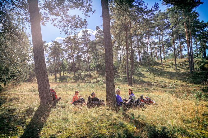 Amsterdam: Kröller Müller Museum and Hoge Veluwe NP Private Tour - Practical Tips