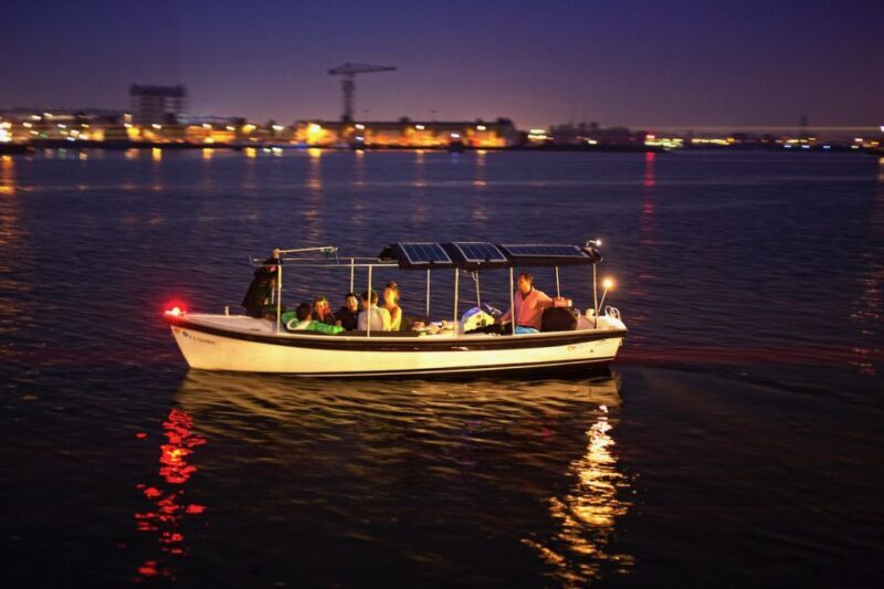Amsterdam Light Festival Boat Cruise - Who Will Love This Experience?
