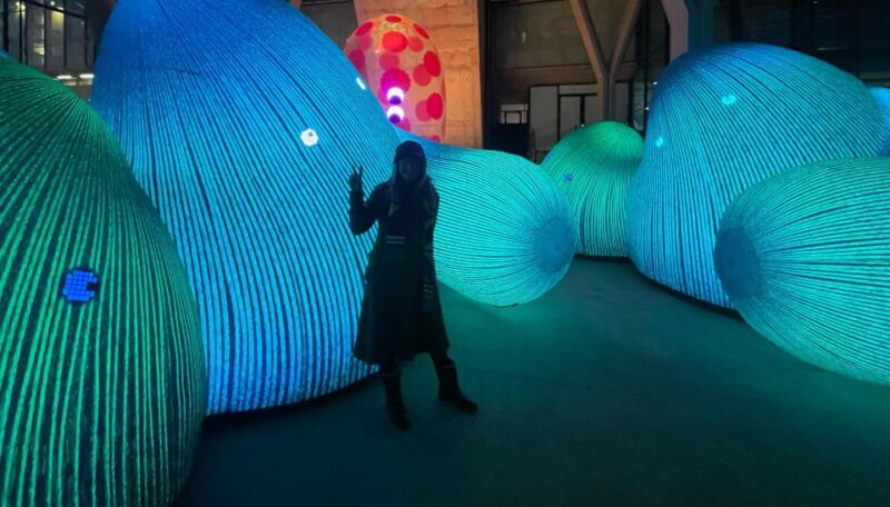 Amsterdam Light Festival Guided Bike Tour - What We Think About the Experience