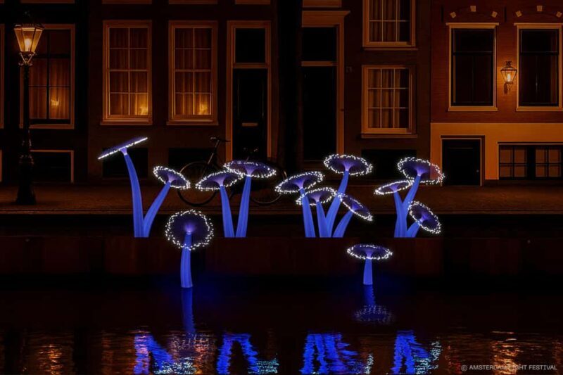 Amsterdam: Light Festival Heated Cruise w/ Hot Drinks & Bite - Value for Money & Practical Details