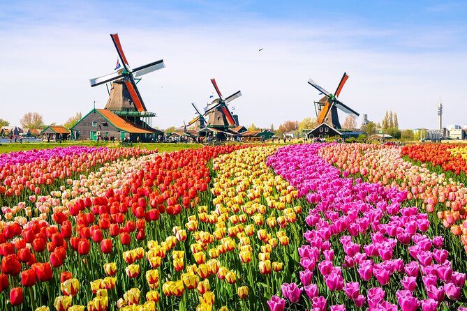 Amsterdam Pass: 45+ Things To Do - Includes Rijksmuseum - The Sum Up