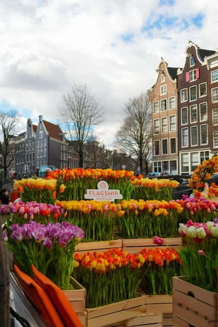 Amsterdam: Premium Tulip Boat Canal Tour - Who Should Book This Tour?