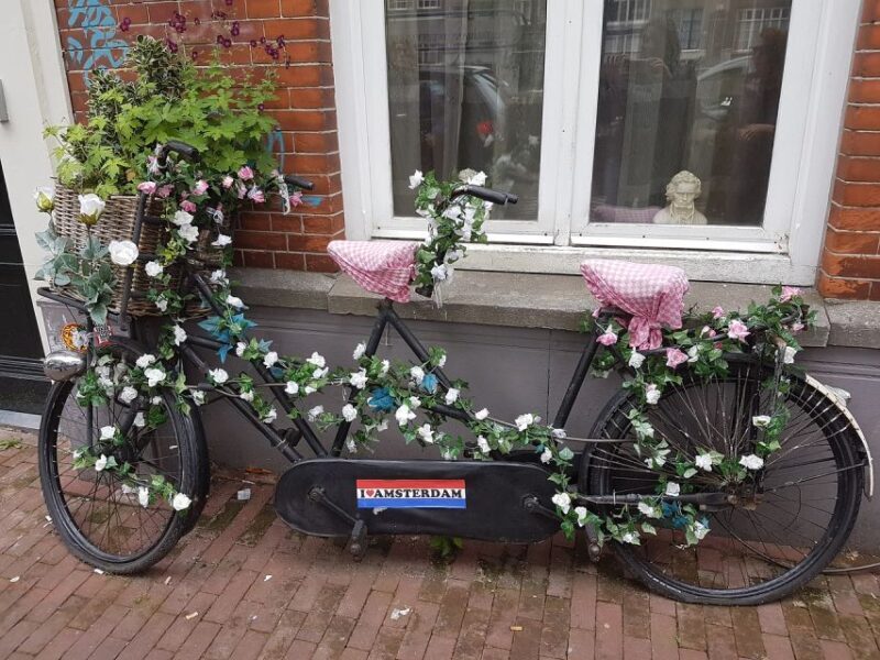 Amsterdam: Private Half-Day Countryside Bike Tour - Final Thoughts