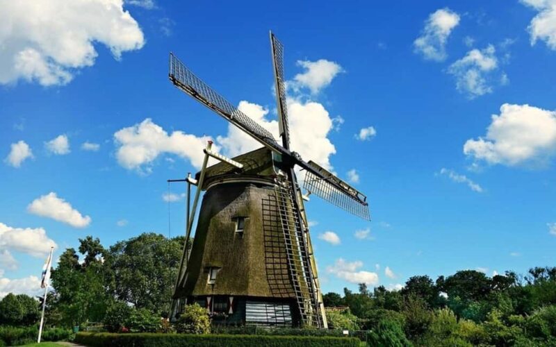 Amsterdam: Private Half-Day Guided Tour - An In-Depth Look at the Private Half-Day Tour