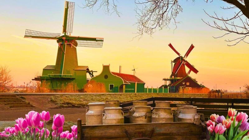 Amsterdam: Private Tour Giethoorn, Zaanse Schans Local Guide - What Past Travelers Say