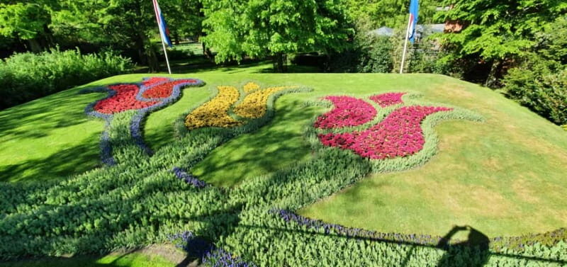 Amsterdam: Private Tour to Keukenhof & Free Tulip Experience - The Experience: A Balanced Look at What This Tour Offers