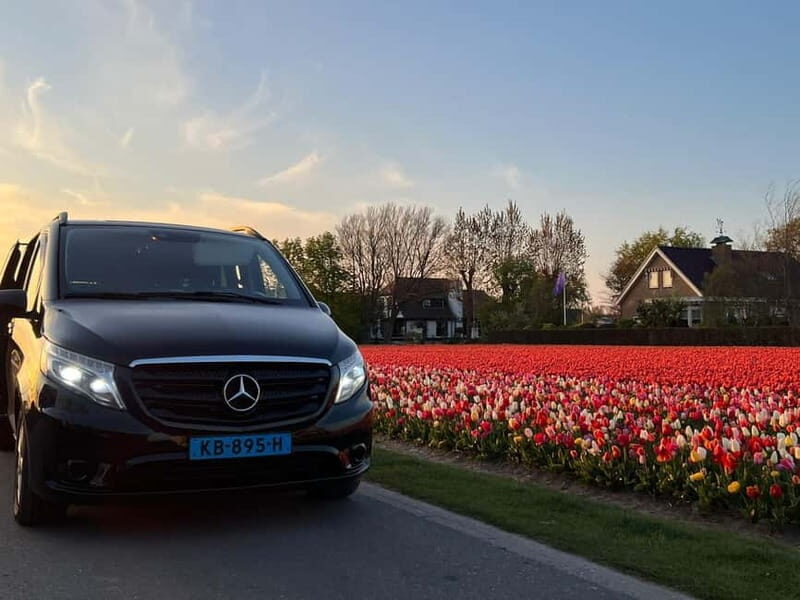 Amsterdam: Private Tour to Keukenhof & Free Tulip Experience - In-Depth: Detailed Breakdown of the Itinerary