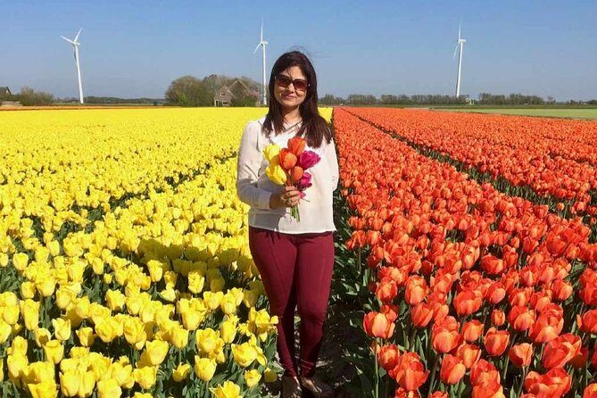 Amsterdam Private Tour to Keukenhof, Tulip Fields and Windmills - Flexibility and Personalization
