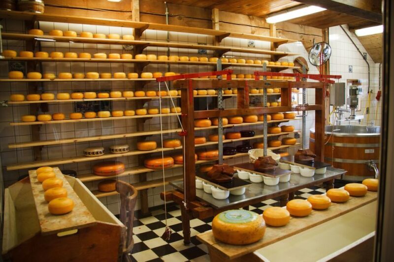 Amsterdam: Private Zaanse Schans Windmills and Volendam Trip - Is It Worth the Price?