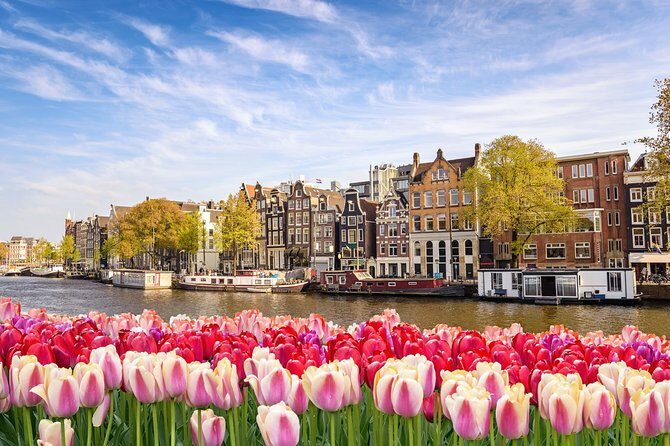 Amsterdam Schiphol Airport AMS Transfer Service - FAQ