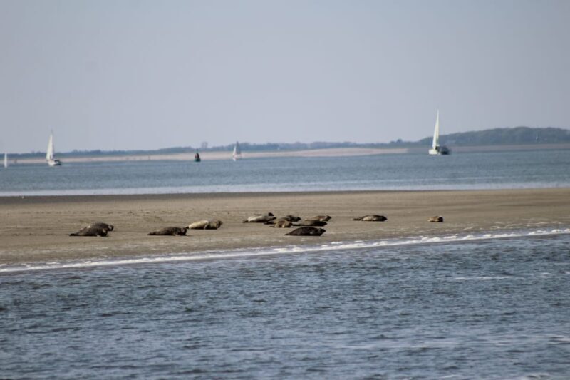 Amsterdam: Seal Safari at Waddensea UNESCO Site - FAQ
