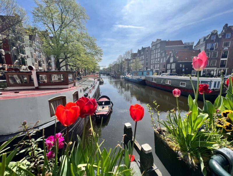 Amsterdam: Self-Guided Food Tour in De Jordaan Neighbourhood - The Sum Up