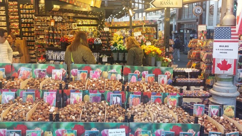 Amsterdam Shore Excursion: Highlights Walk & Canal Cruise - Key Points